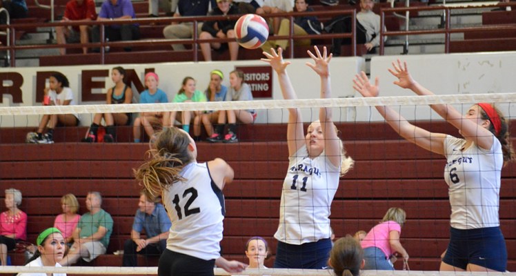 Updated: Oak Ridge sunk by Admirals; Farragut wins Region 2 tournament